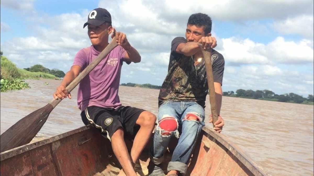 Remos nuevos “motores” del transporte fluvial en el río Apure