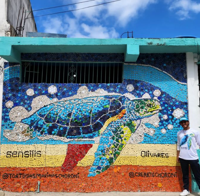 Olivares hizo mural de tapas con las tortugas marinas en Choroní