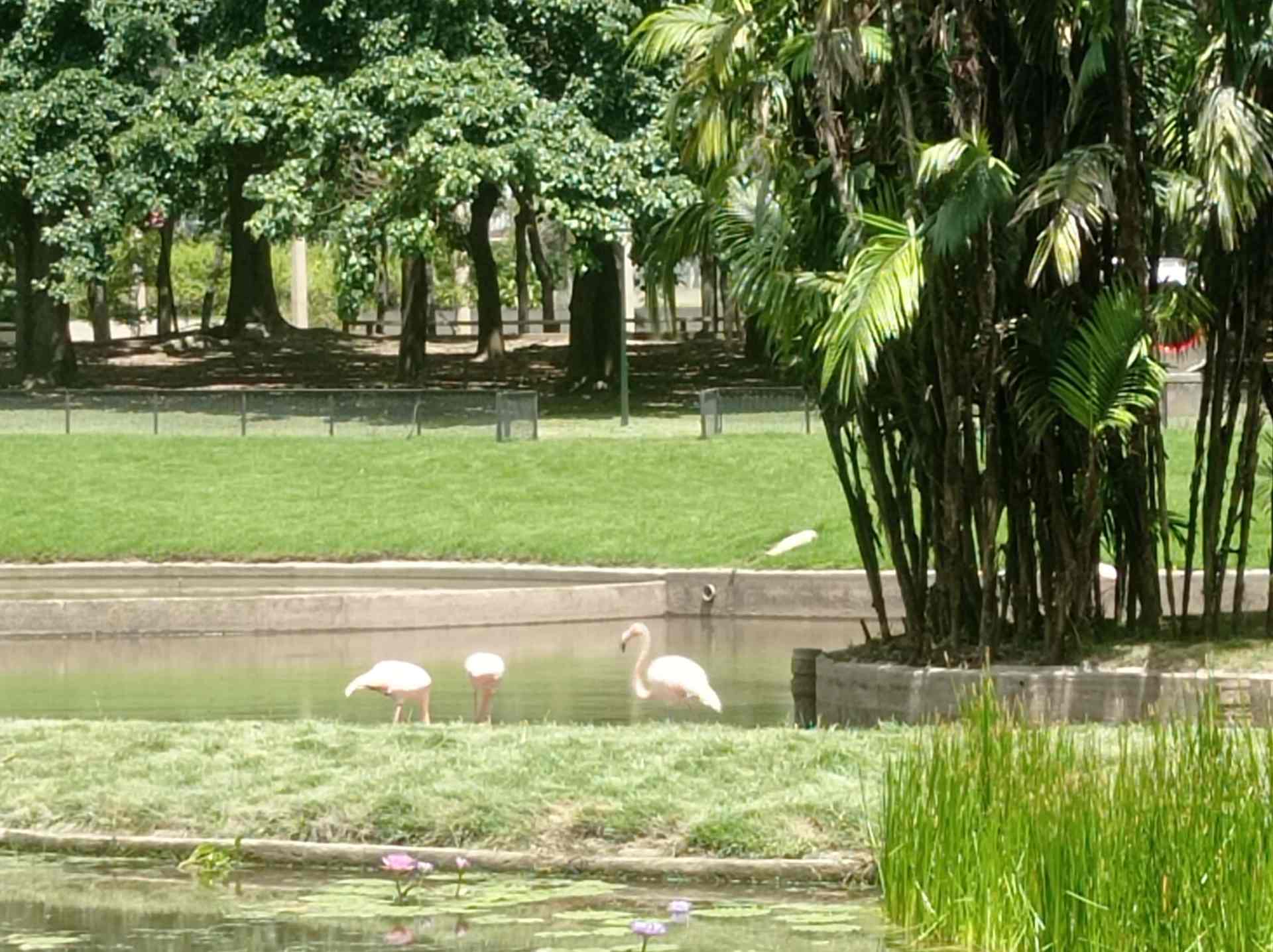 Lugares recreativos y económicos para disfrutar en familia